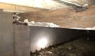 Wood Rot vs. Mold: How to Tell the Difference in Your Home - Indiana ...